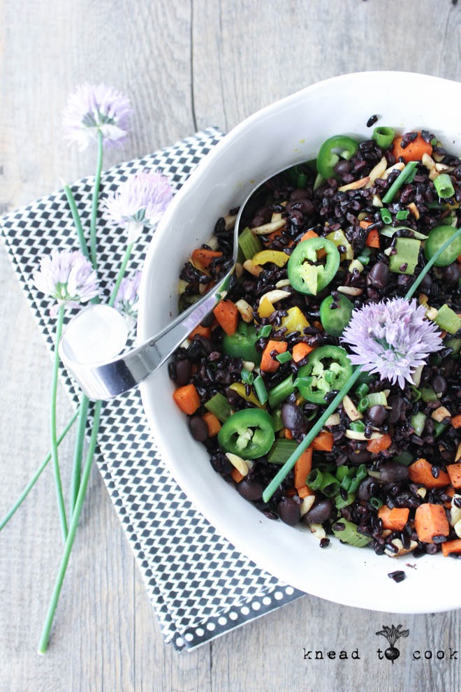 Balsamic Vinegar Rice Recipe at Timothy Stump blog